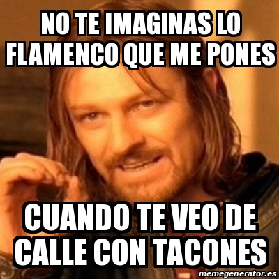 Meme Boromir - No te imaginas lo flamenco que me pones Cuando te veo de ...