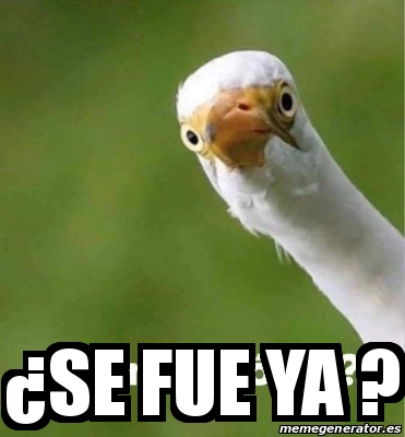 Meme Personalizado - Â¿Se fue ya ? - 30923811