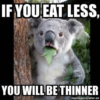 Meme Koala - if you eat less, you will be thinner - 30928808