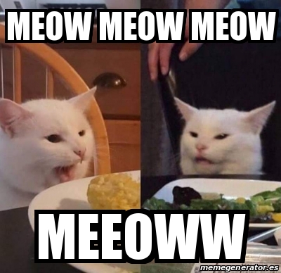 Meme Personalizado - Meow Meow meow Meeoww - 30930404