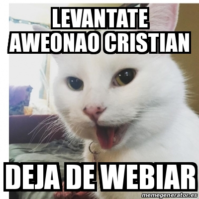 Meme Personalizado - Levantate aweonao Cristian Deja de webiar - 30931867