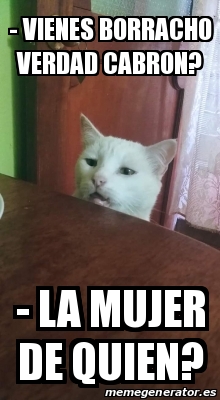 Meme Personalizado - - vienes borracho verdad cabron? - la mujer de ...