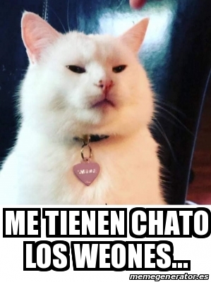 Meme Personalizado - me tienen chato los weones... - 30933056