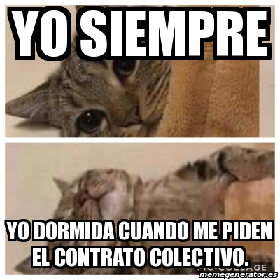 Meme Personalizado - YO SIEMPRE Yo dormida cuando me piden el contrato ...