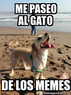 Meme Personalizado - Me paseo al gato De los memes - 30936736