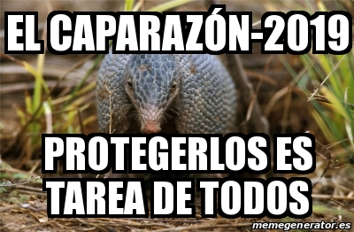 Meme Personalizado - el caparazÃ³n-2019 protegerlos es tarea de todos ...