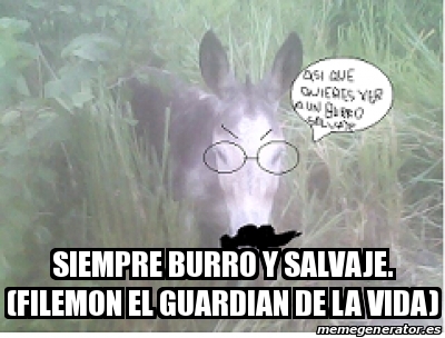 Meme Personalizado - siempre burro y salvaje. (filemon el guardian de ...