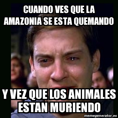 Meme crying peter parker - cuando ves que la amazonia se esta quemando ...