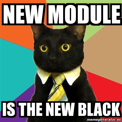 Meme Business Cat - New module is the new black - 30948958