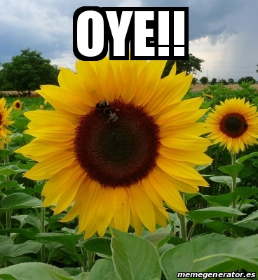 Meme Personalizado - OYE!! - 30953574