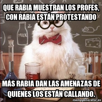 Meme Chemistry Cat - Que rabia muestran los profes, con rabia estÃ¡n ...