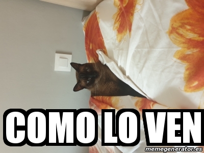 Meme Personalizado - como lo ven - 30955452