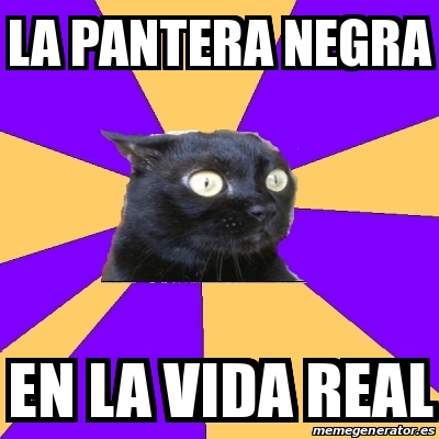Meme Anxiety Cat - la pantera negra en la vida real - 30959502
