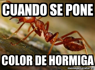 Meme Personalizado - Cuando se pone Color de hormiga - 30960224