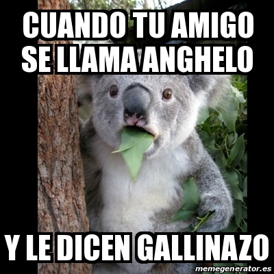Meme Koala - cuando tu amigo se llama anghelo y le dicen gallinazo ...