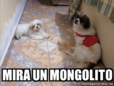 Meme Personalizado - Mira un mongolito - 30964048