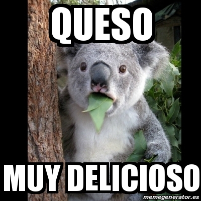 Meme Koala - Queso Muy Delicioso - 30966178