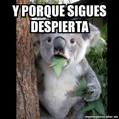 Meme Koala - Y porque sigues despierta - 30967300