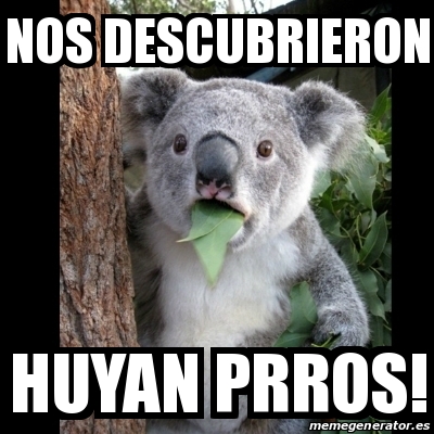 Meme Koala - Nos descubrieron huyan prros! - 30969097