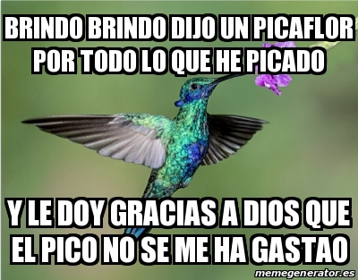 Meme Personalizado - Brindo brindo dijo un picaflor por todo lo que he ...