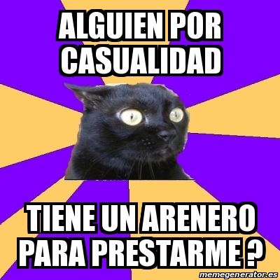 Meme Anxiety Cat - alguien por casualidad tiene un arenero para ...
