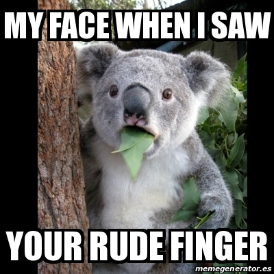 Meme Koala - My face when I saw Your rude finger - 30976830