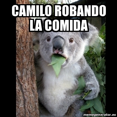 Meme Koala - Camilo robando la comida - 30977051