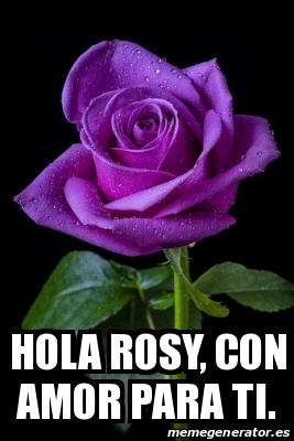 Meme Personalizado - hola rosy, con amor para ti. - 30980145