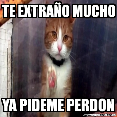 Meme Personalizado - te extraÃ±o mucho ya pideme perdon - 30982249