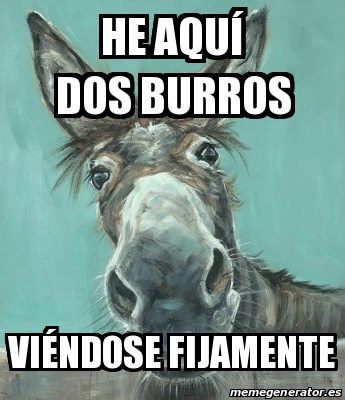 Meme Personalizado - He aquÃ­ dos burros ViÃ©ndose fijamente - 30987718