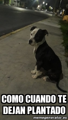 Meme Personalizado - como cuando te dejan plantado - 30997421