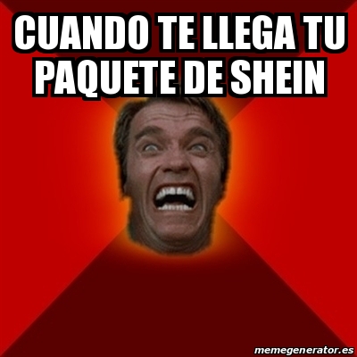 Meme Arnold - Cuando te llega tu paquete de shein - 31001295