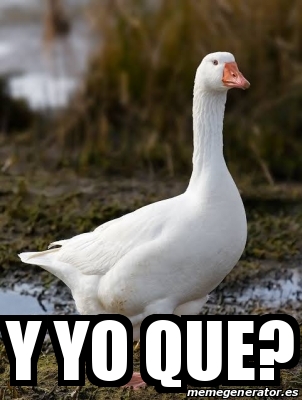 Meme Personalizado - Y yo que? - 31004166