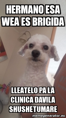 Meme Personalizado - Hermano esa wea es brigida Lleatelo pa la clinica ...