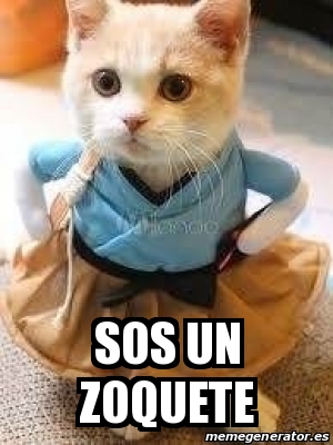 Meme Personalizado - Sos un zoquete - 31106501