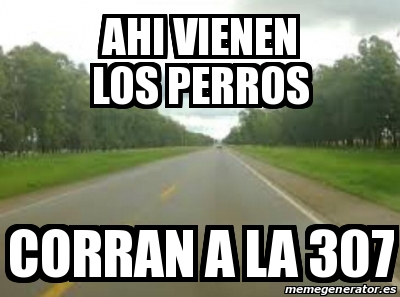 Meme Personalizado - Ahi vienen los perros Corran a la 307 - 31108138