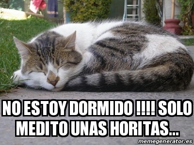 Meme Personalizado - No estoy dormido !!!! Solo medito unas horitas ...