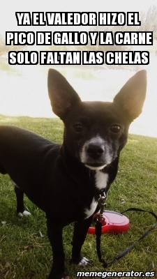 Meme Personalizado - YA EL VALEDOR HIZO EL PICO DE GALLO Y LA CARNE ...