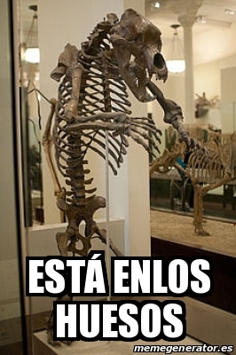 Meme Personalizado - EstÃ¡ enLos huesos - 31113141