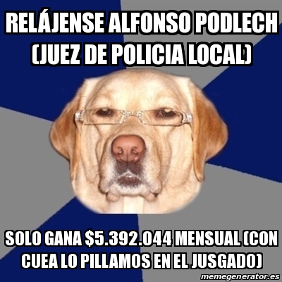 Meme Perro Racista - RELÃ JENSE Alfonso podlech (juez de policia local ...
