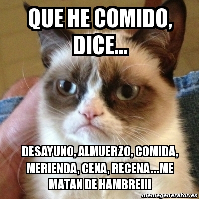 Meme Grumpy Cat - Que he comido, dice... Desayuno, almuerzo, comida ...