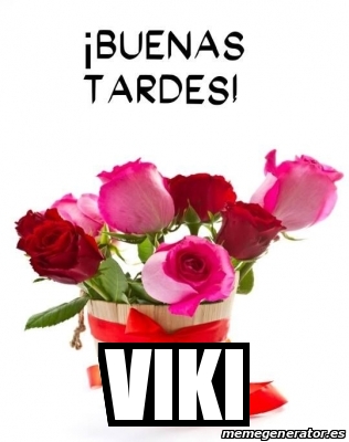 Meme Personalizado - viki - 31118826
