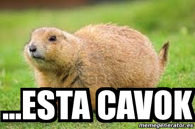 Meme Personalizado - ...Esta cavok - 31120623