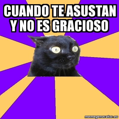 Meme Anxiety Cat - cuando te asustan y no es gracioso - 31120861