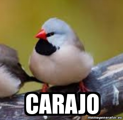 Meme Personalizado - carajo - 31121181