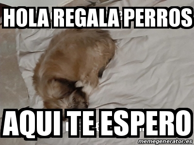 Meme Personalizado - Hola regala perros Aqui te espero - 31122037