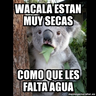 Meme Koala - wacala estan muy secas como que les falta agua - 31125588