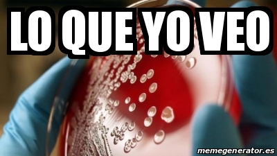 Meme Personalizado - lo que yo veo - 31126278