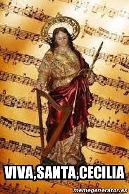 Meme Personalizado - viva,santa,cecilia - 31126520