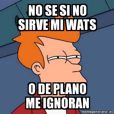 Meme Futurama Fry - No se si no sirve mi wats O de plano me ignoran ...